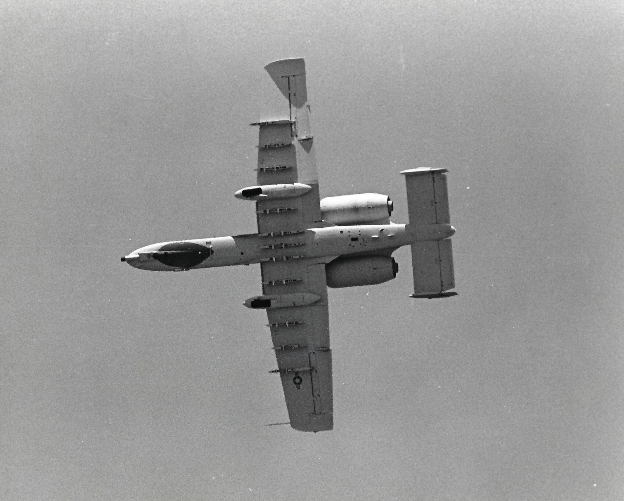 pattent canopy - Keith Ferris Art